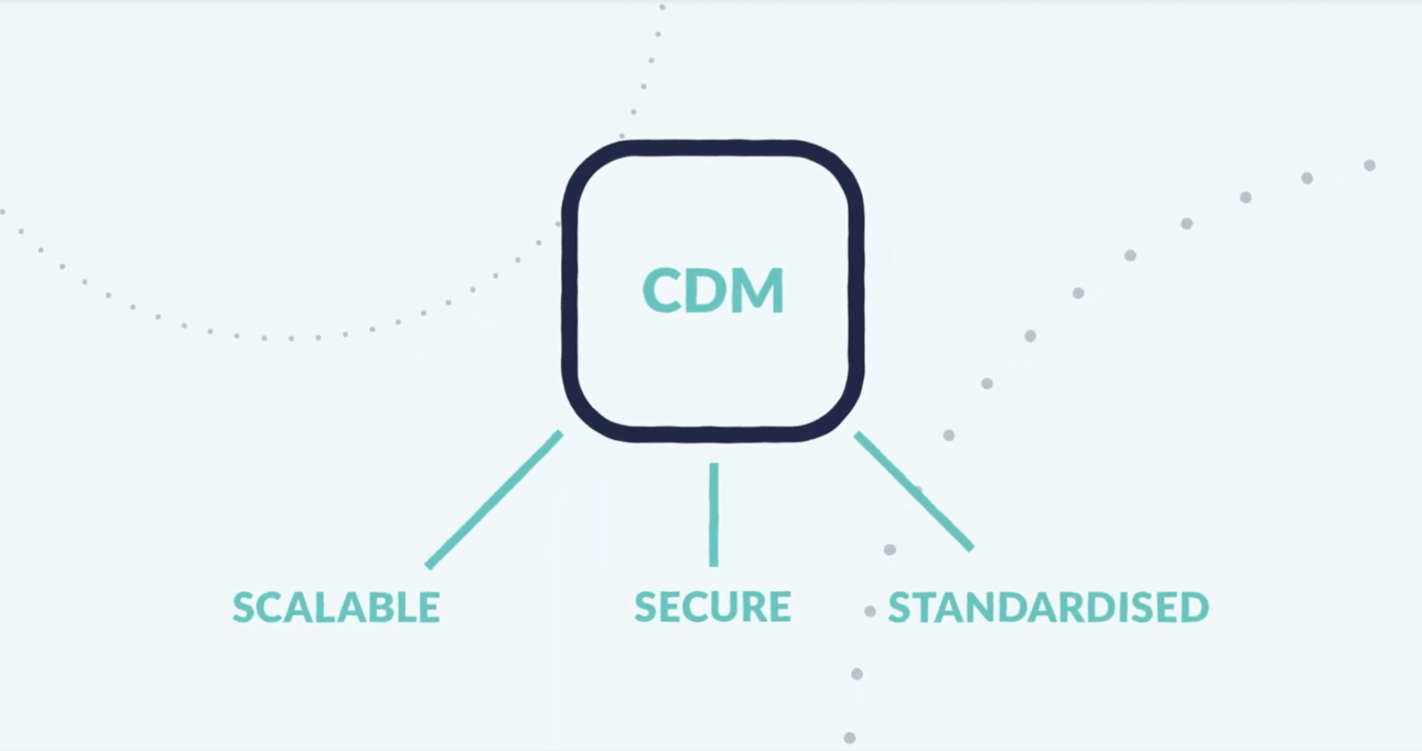 Common Domain Model (CDM)